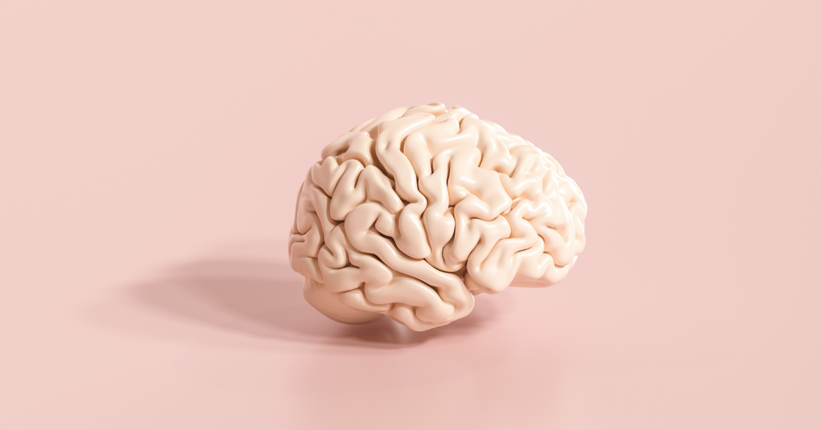 How do you stop memory loss? - The Science Of Memory Loss
